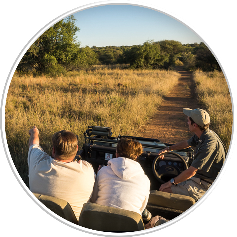 game drives - Dream Hotels & Resorts