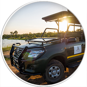 game-drives - Dream Hotels & Resorts