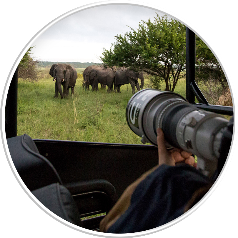 game-drives - Dream Hotels & Resorts