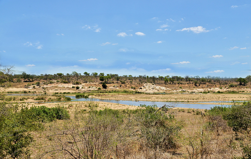 Explore Jackalberry Ridge Mpumalanga | Dream Hotels