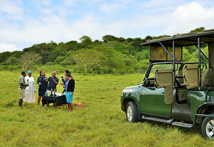 game drives - Dream Hotels & Resorts