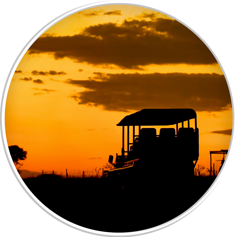 game-drive - Dream Hotels & Resorts