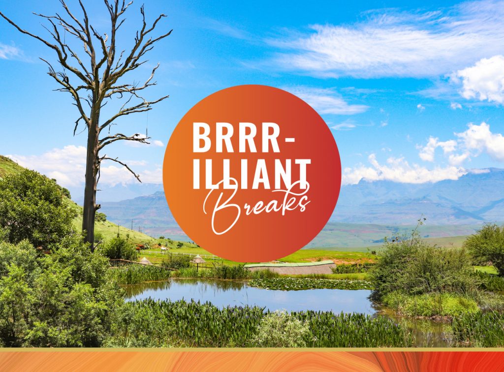 LSR-1 - Dream Hotels & Resorts