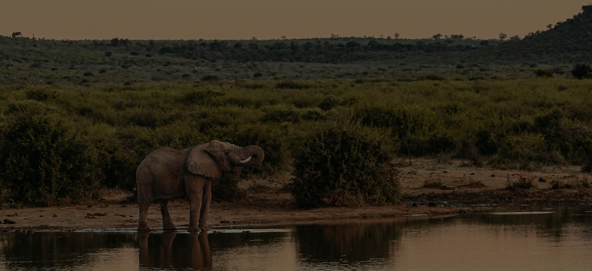 Enquiry-BG - Dream Hotels & Resorts