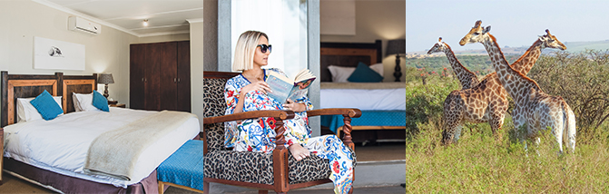 TALA - Dream Hotels & Resorts