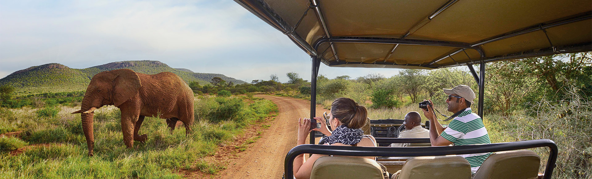 Madikwe - Dream Hotels & Resorts