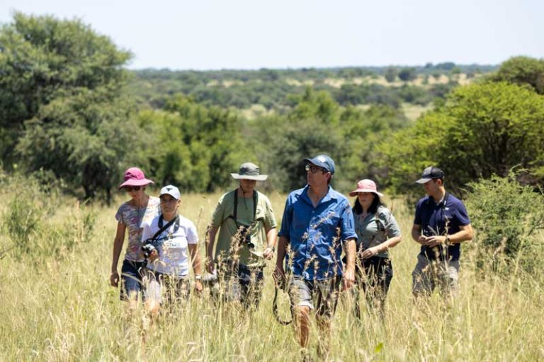 SA - Dream Hotels & Resorts